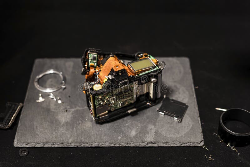 The Stuffing of an Old Camera. All Internals of the Camera without ...