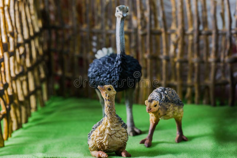 De Struisvogels Van De Baby Stock Afbeelding - Image of groep, vleugels ...