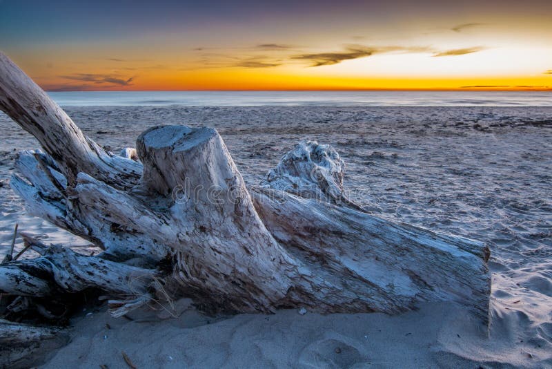 Stump on a beach stock image. Image of view, sand, seaside - 61509791