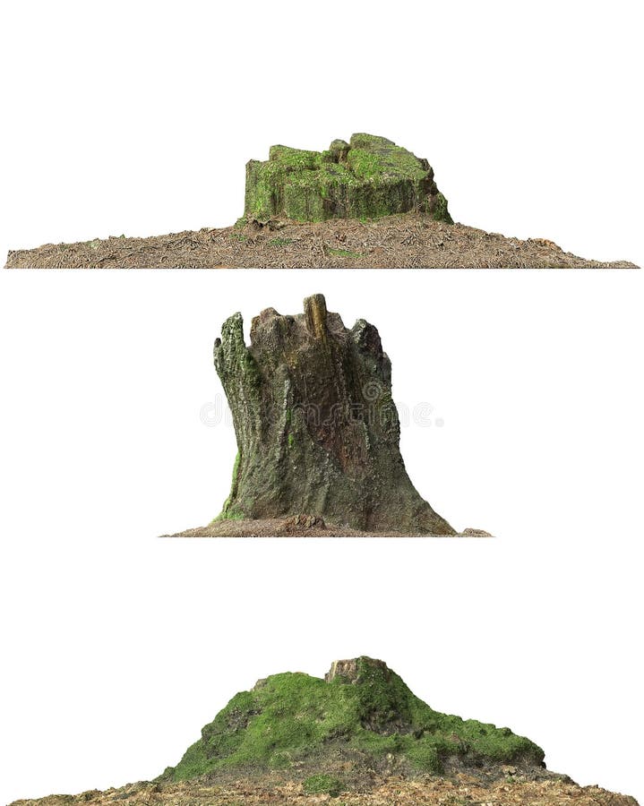 Stump Dead Tree Isolated on White 3d Illustration Stock Illustration ...