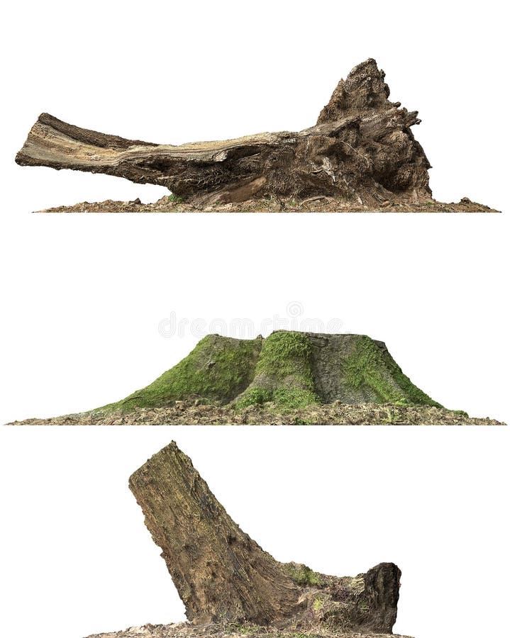 Stump Dead Tree Isolated on White 3d Illustration Stock Illustration ...