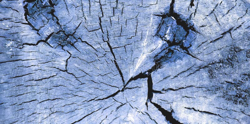 Wide Cracks in Dry Soil with Green Coast in Background, Dry Lake with ...