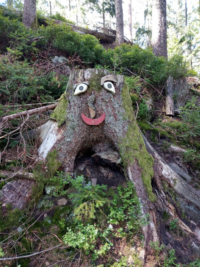 Stump with Face in Black Forest Stock Photo - Image of travel, lumber ...