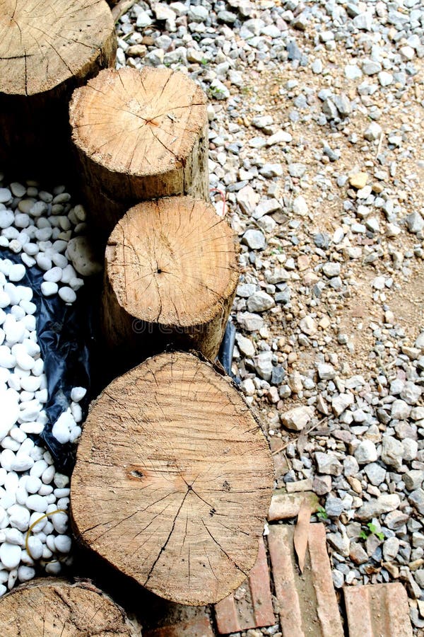 Stump in garden stock image. Image of beautiful, gardening - 154458919