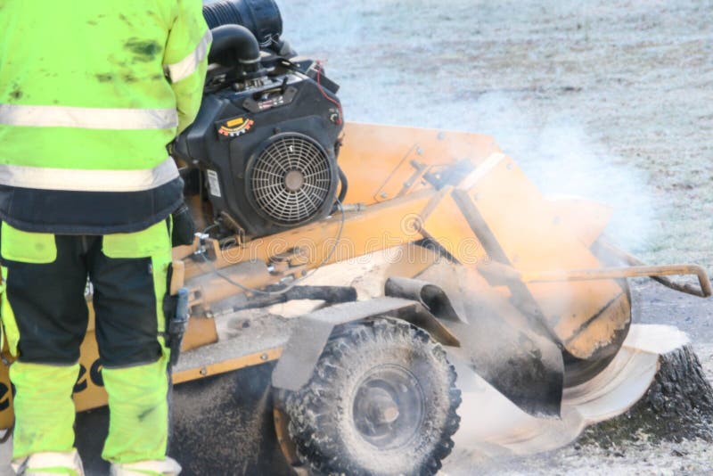 Machine Grinding Tree Stump Stock Image - Image of sawing, grinding ...