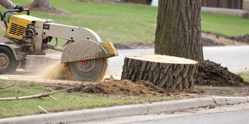 Stump Grinder Machine Grinding Tree Stump Stock Illustration ...