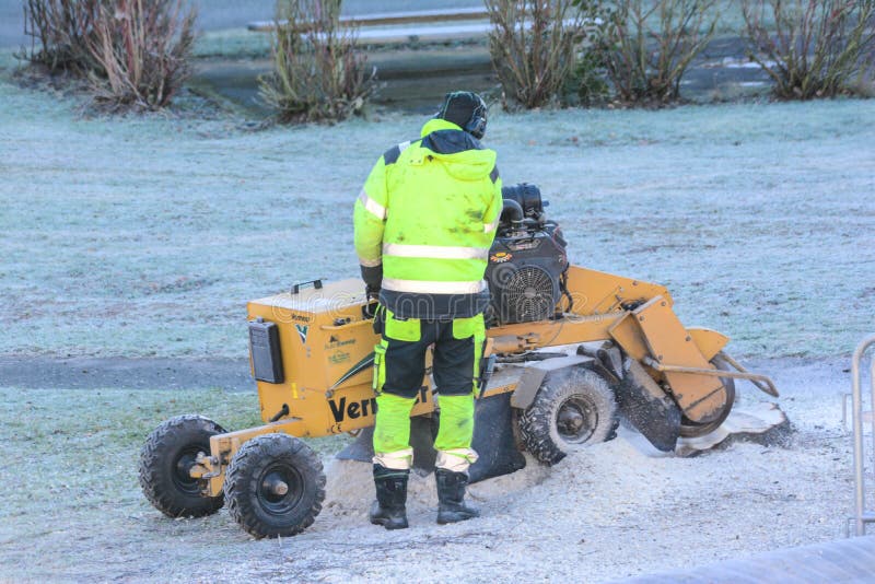 Stump Grinder Machine Grinding Tree Stump Editorial Stock Photo - Image ...