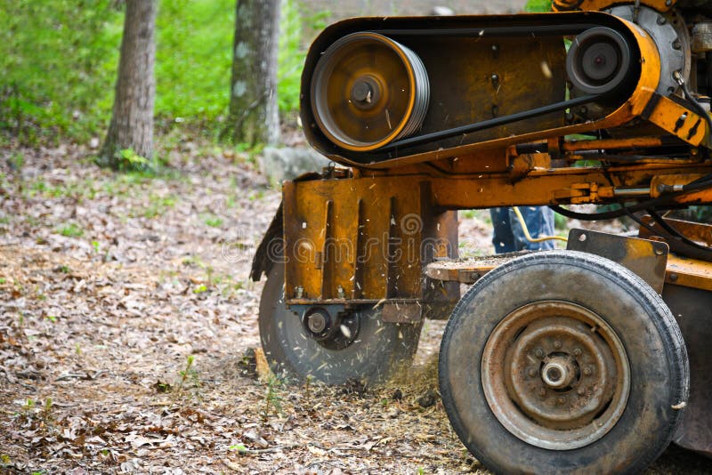 Stump Grinder Removing a Tree Stump Stock Photo - Image of chips ...