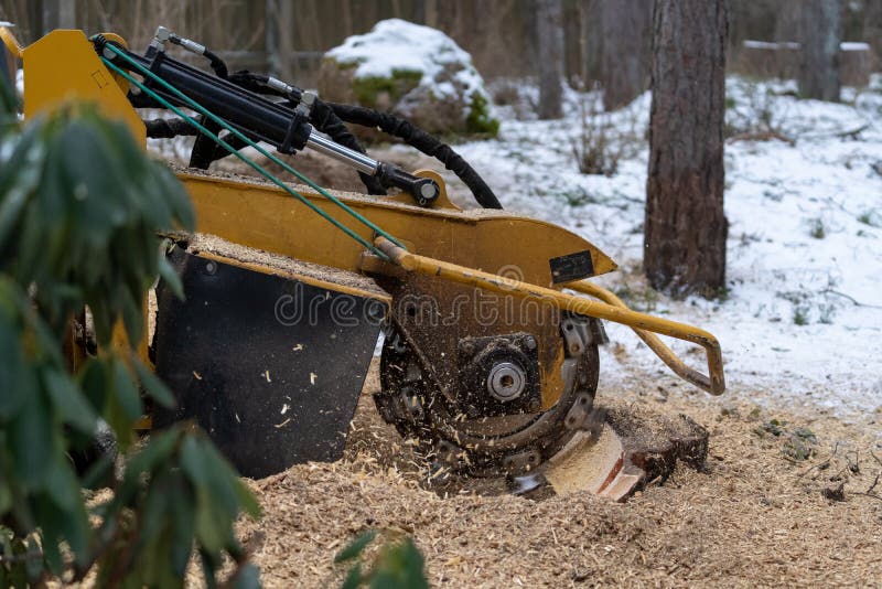 Tree Stump Removing Process with Yellow Stump Grinder Stock Photo ...