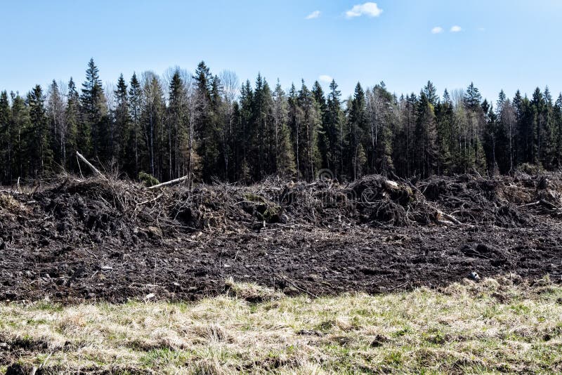 Stump grubbing stock photo. Image of evulsion, clean - 247416072