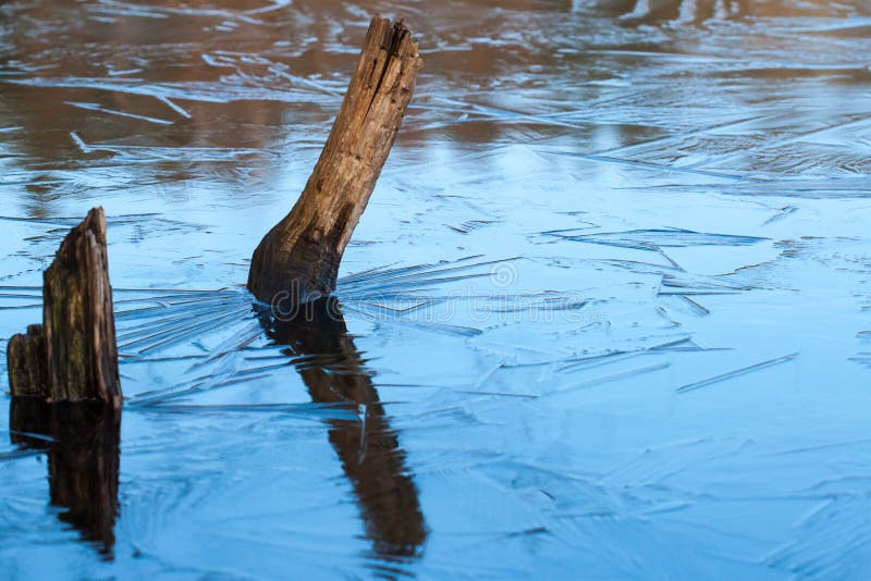 Stump in the ice stock image. Image of outdoor, landscape - 110733905