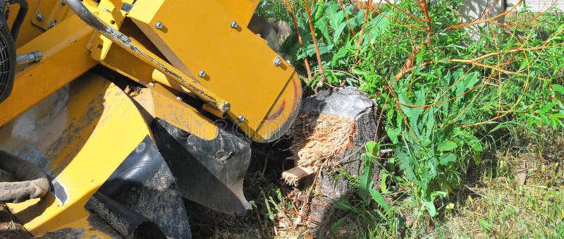 Stump machine. stock photo. Image of outdoors, trees - 76591322
