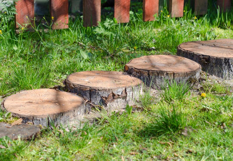Stump Path Background. Many Stump on Garden Road Stock Image - Image of ...