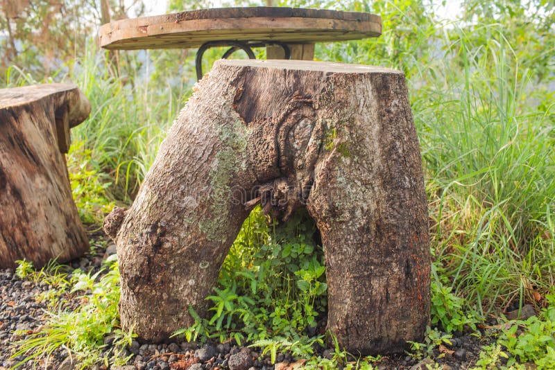 Stump Pattern on the Tree, Woman Figure. Stock Photo - Image of grunge ...