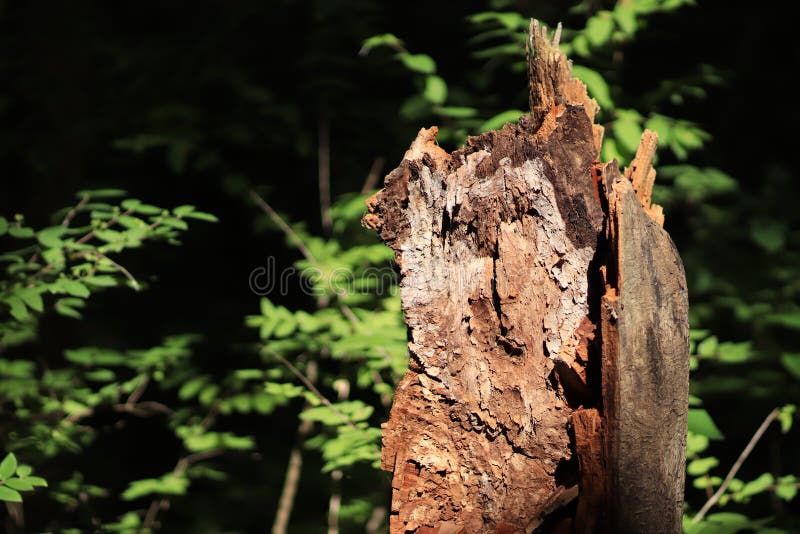 Sharp Edges Of The Rusty Metal Sheets Placed On The Floor. Old Aged ...