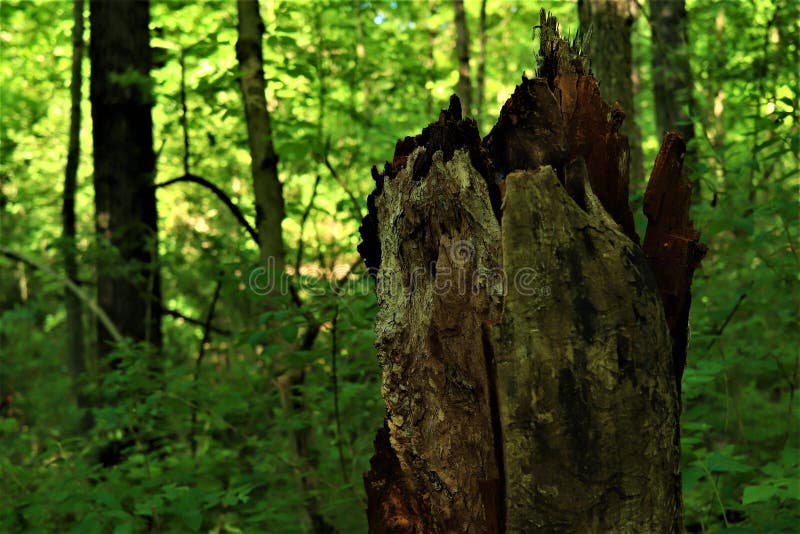 Sharp Edges of History stock image. Image of ancient - 31006295