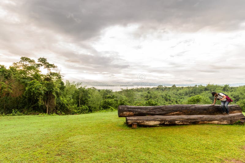 Stump for Sitting at River View Point Stock Photo - Image of view ...
