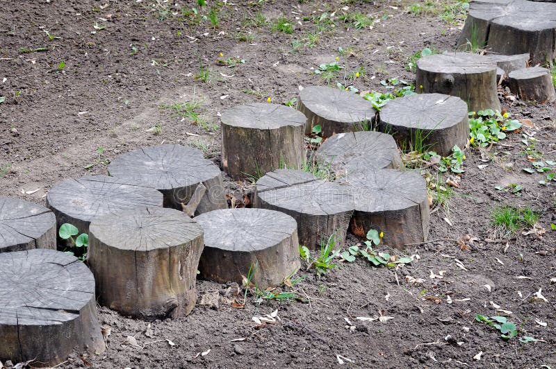 Rooted Stumps Stock Photos - Free & Royalty-Free Stock Photos from ...