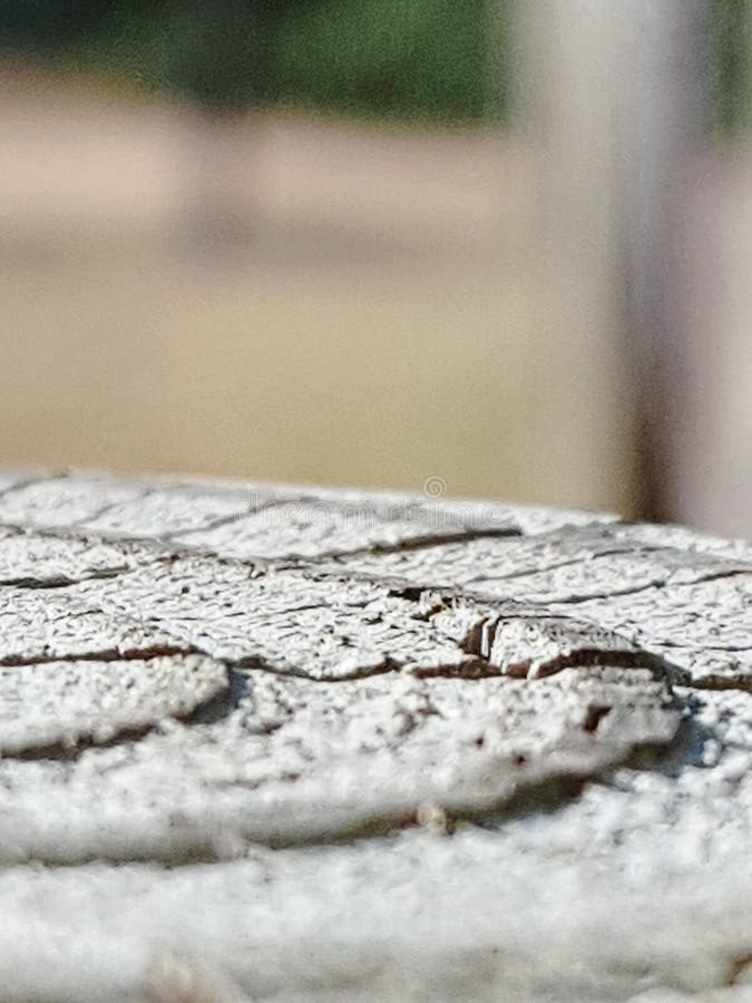 Stumped stock photo. Image of stumped, fence, japanese - 161425992