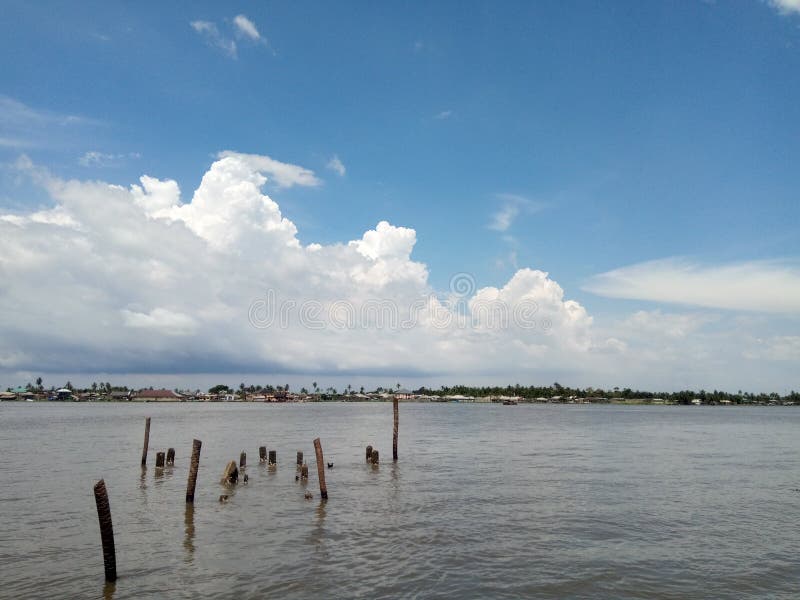 Are You Stumped yet? stock image. Image of grass, gold - 173298573