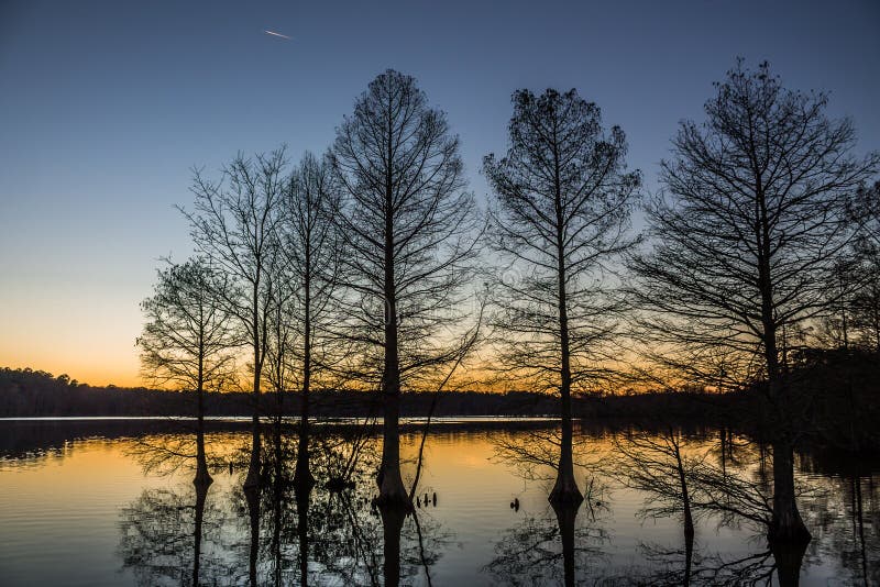 Stumpy Lake Bald Cypress Silhouette Stock Image - Image of lake, water ...
