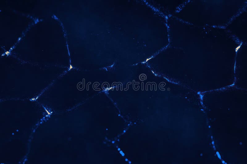 Blue Caustic Glass Water Abstract Background - 2022 Color Trend Stock ...