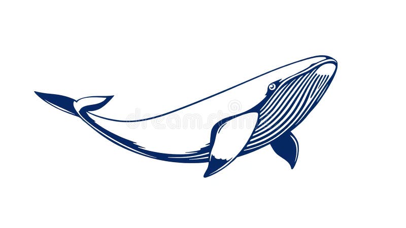 Majestic Whale Abstract Art Print Elegant Minimalist Design for Modern ...