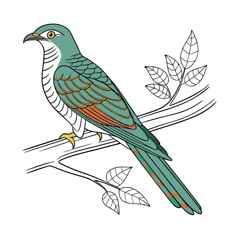 Stunning African Cuckoo Design Stock Photo - Illustration of minimalist ...