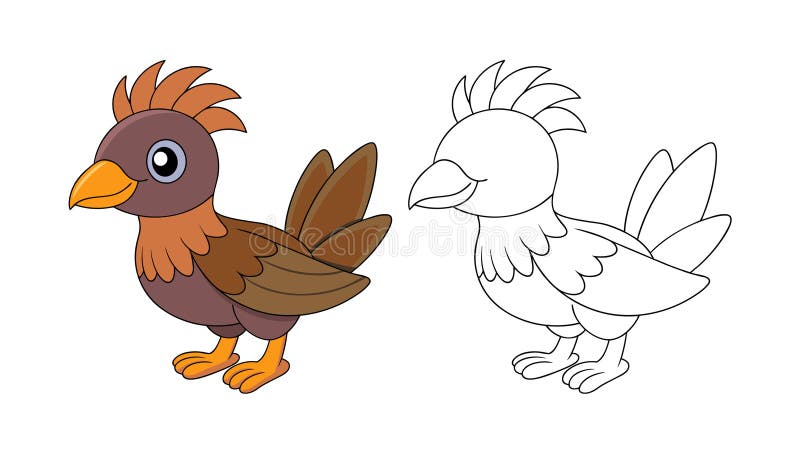 Stunning Akepa Bird Detailed Illustration Stock Vector - Illustration ...