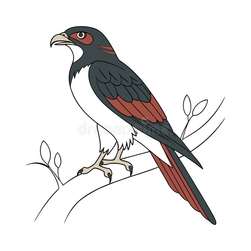 Stunning Akikiki Bird Detailed Illustration Stock Illustration ...