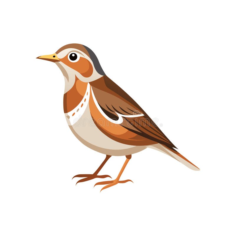 Stunning American Pipit Bird Representation Stock Photo - Illustration ...