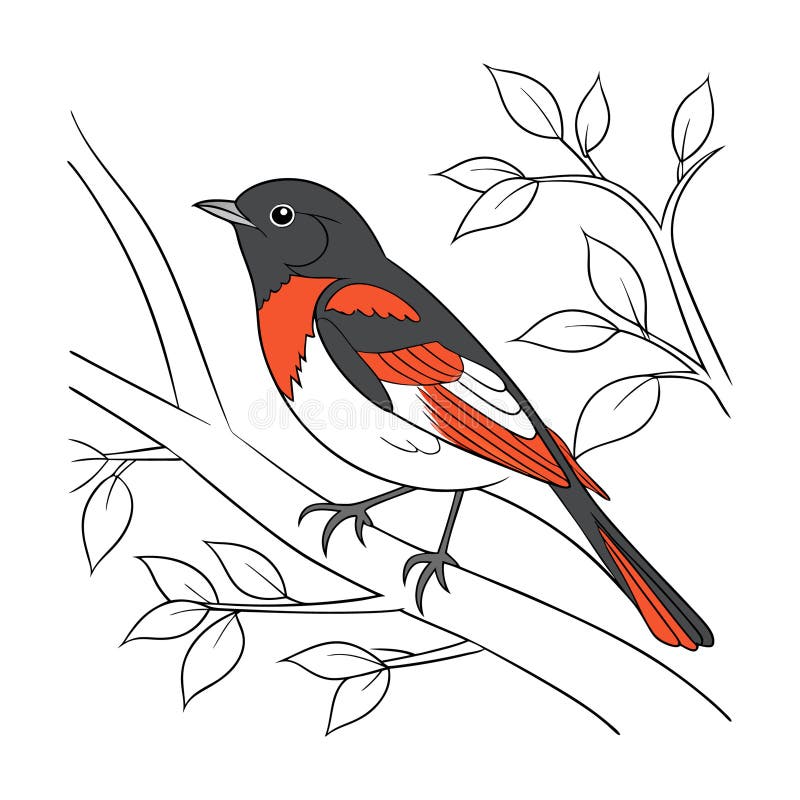 Stunning American Redstart Bird Representation Stock Illustration ...