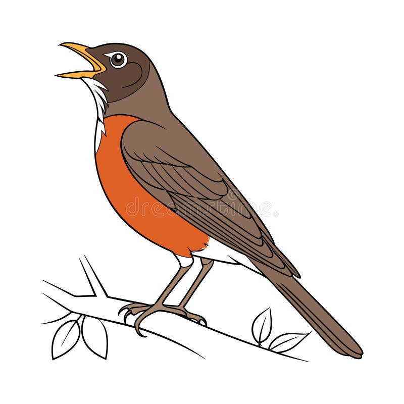 Stunning American Robin Bird Representation Stock Illustration ...