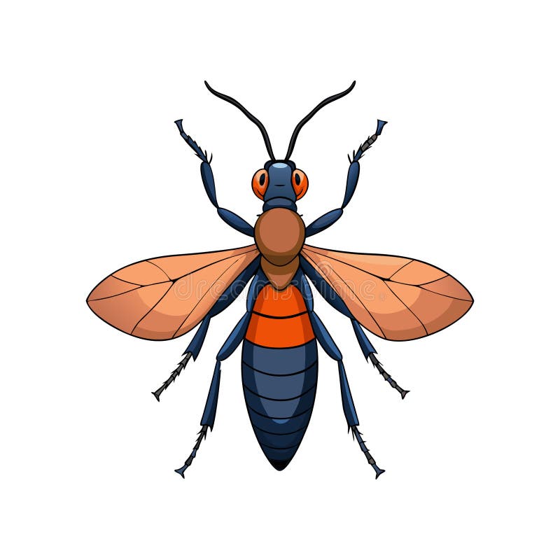 Stunning Artwork of Tarantula Hawk in Nature Stock Illustration ...