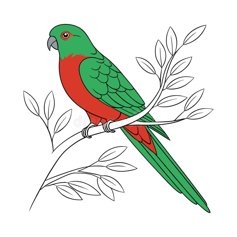 Stunning Australian King Parrot Representation Stock Illustration ...