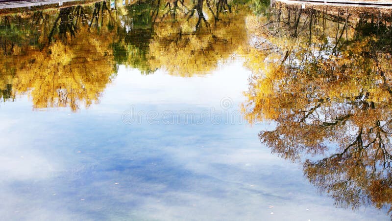 The Stunning Autumn Colors Reflected on the Calm Water.Reflection of ...