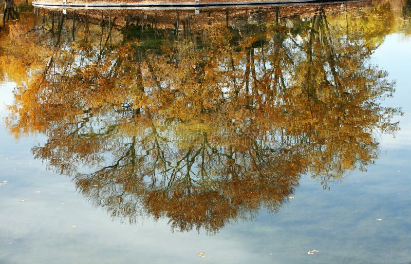 The Stunning Autumn Colors Reflected on the Calm Water.Reflection of ...