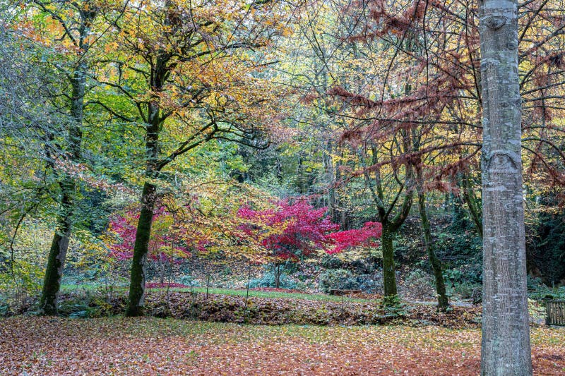 Stunning Autumn Landscape with Vibrant Foliage Stock Photo - Image of ...