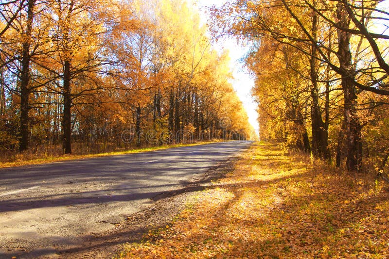 Stunning autumn road stock image. Image of nature, colorful - 62998543