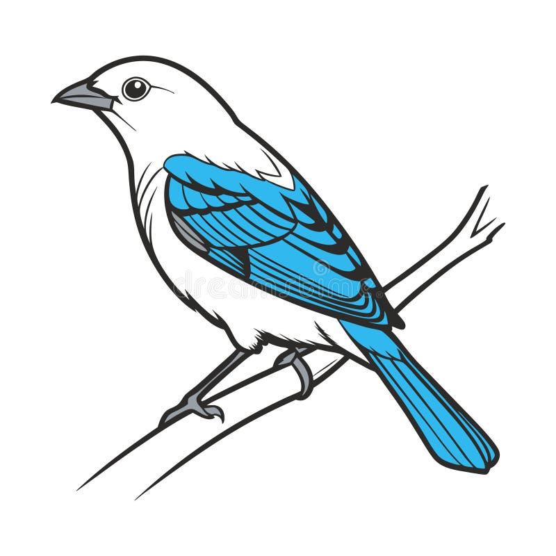 Stunning Azure-Shouldered Tanager Bird Representation Stock ...