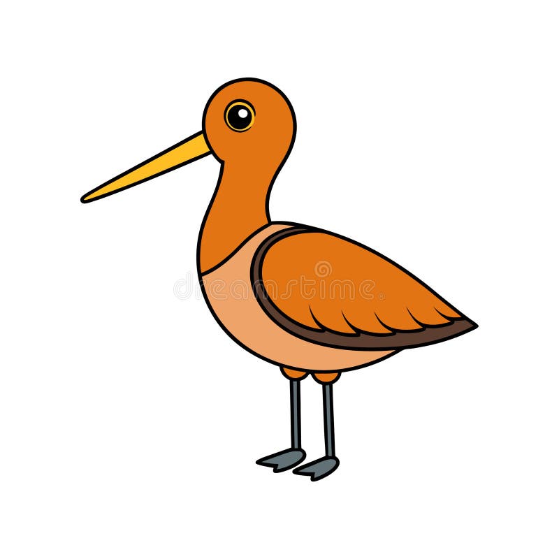 Stunning Bar-Tailed Godwit Design Stock Illustration - Illustration of ...