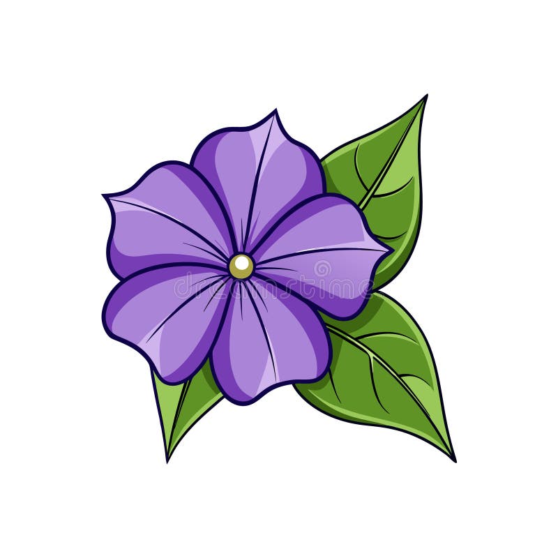 Stunning Bigleaf Periwinkle Flower in Nature Stock Photo - Illustration ...