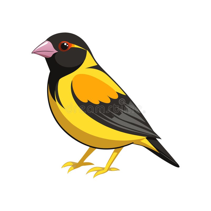 Stunning Black-Headed Canary Design Stock Illustration - Illustration ...