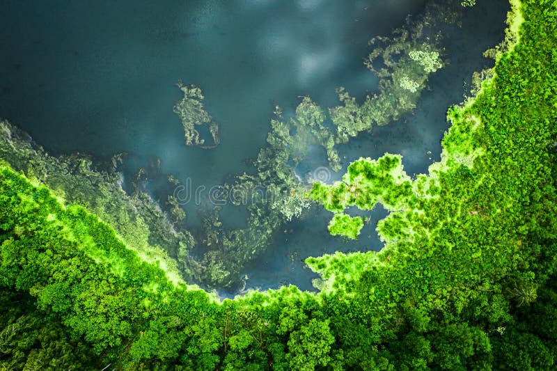 Stunning Blooming Algae on the Lake in Spring, Aerial View Stock Photo ...