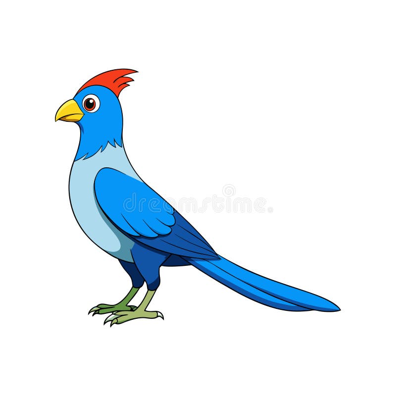 Stunning Blue Faced Malkoha Bird Design Stock Illustration ...