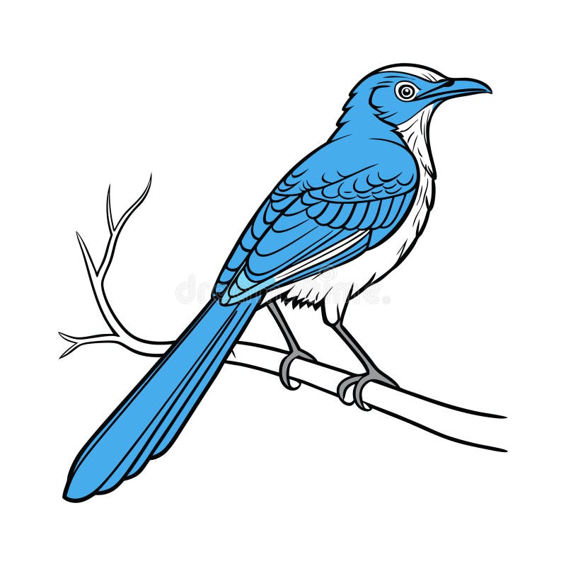 Stunning Blue Mockingbird Bird Representation Stock Illustration ...