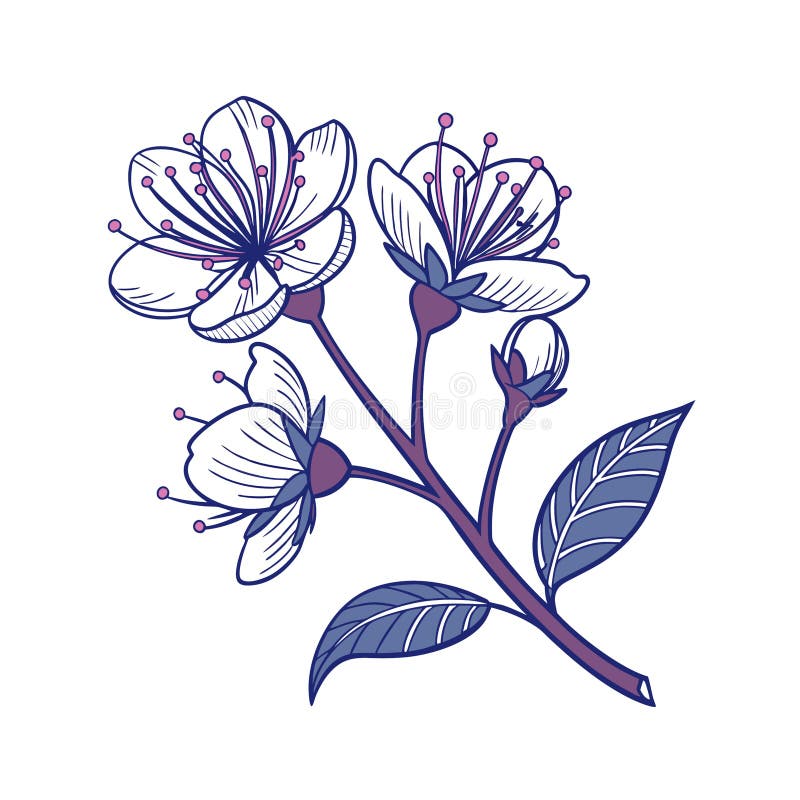 Stunning Blue Myrtle Flower Art Design Stock Illustration ...