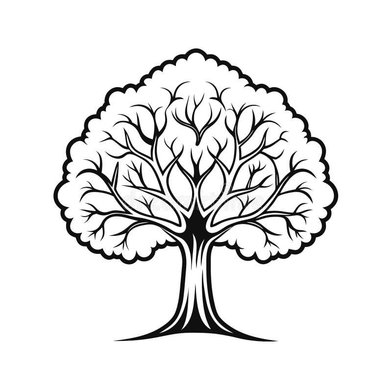 Stunning Bold Design of White Ash Tree Stock Illustration ...