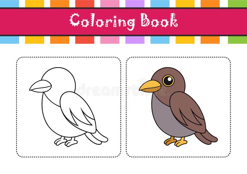 Stunning Bowerbird Design Stock Photos - Free & Royalty-Free Stock ...