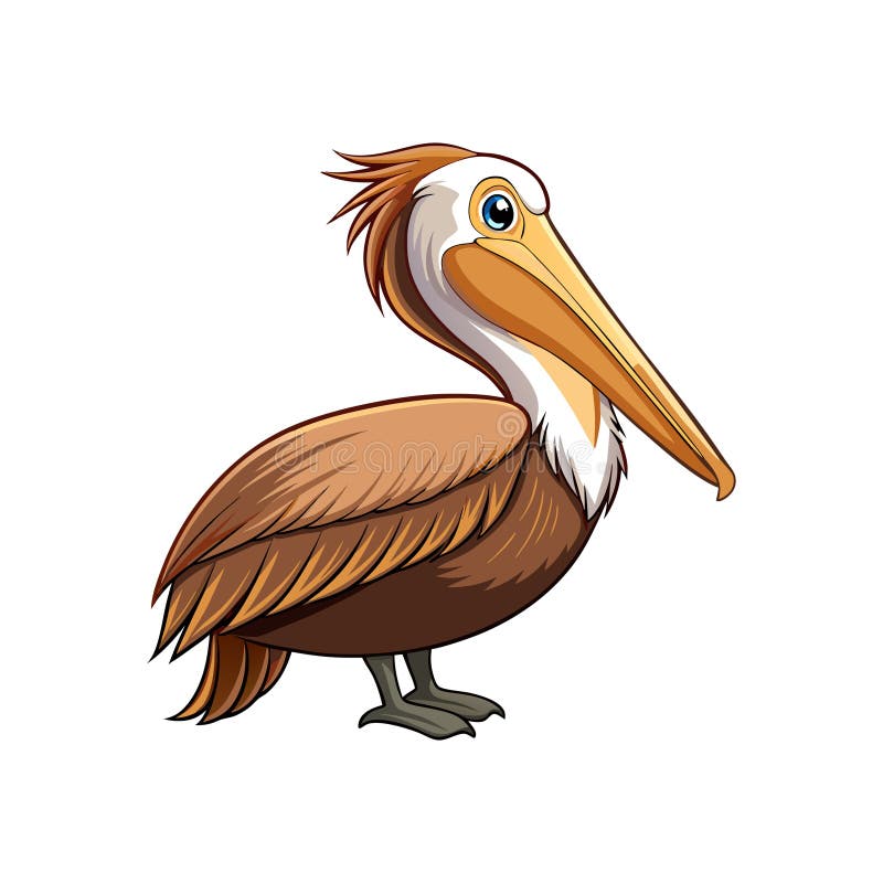Stunning Brown Pelican Colorful Illustration Stock Illustration ...